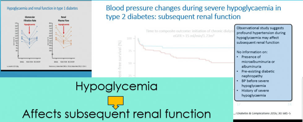 Multiple faces of Hypoglycemia: 20 Unique Facts - CME INDIA