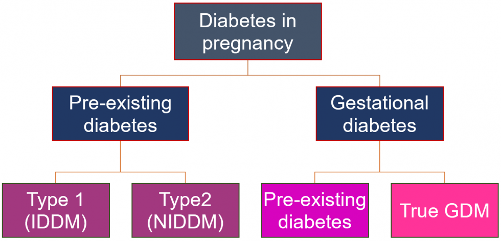 Gestational Diabetes Mellitus (GDM) - What A Physician Must Know? - CME ...