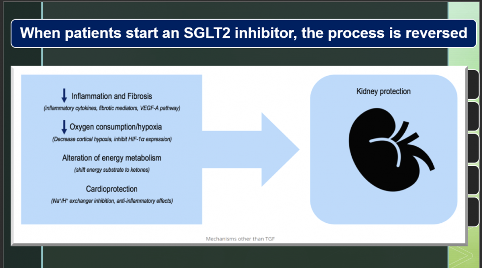 Is SGLT2-Inhibitors a New Nectar in Renal Protection in Diabetes? - CME ...