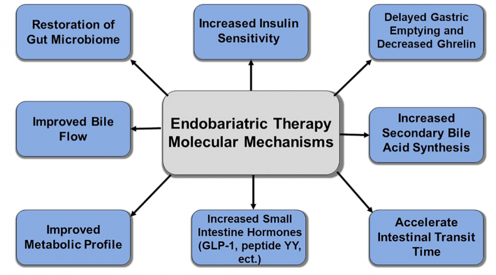 Endo Bariatric Surgery On-board to Treat Obese Diabetic - CME INDIA