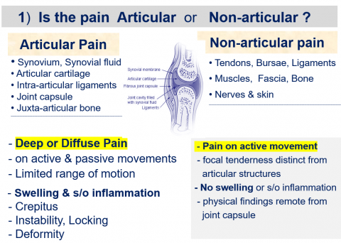 Approach to A Case of Joint Pain - CME INDIA