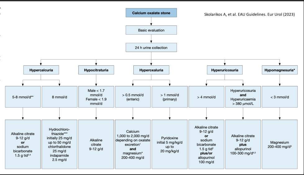 What Physicians Must Know about Approach to Recurrent Renal Calculi ...