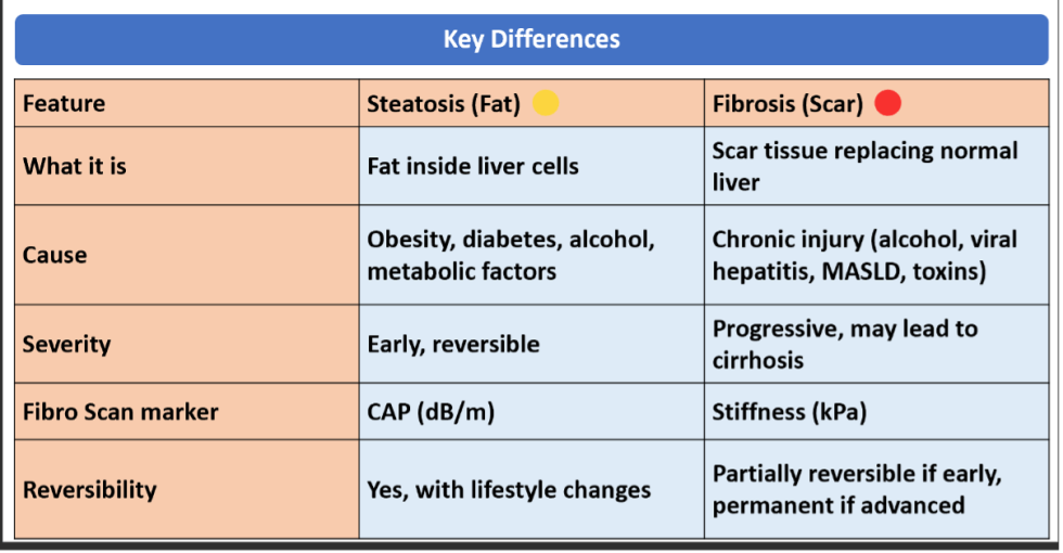 Essentials of Fibroscan Interpretation by Physicians - CME INDIA