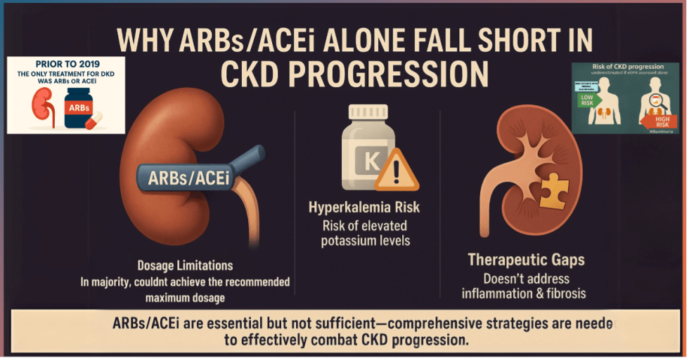 Finerenone: From Residual Risk to Precision Therapy in Cardio Renal ...