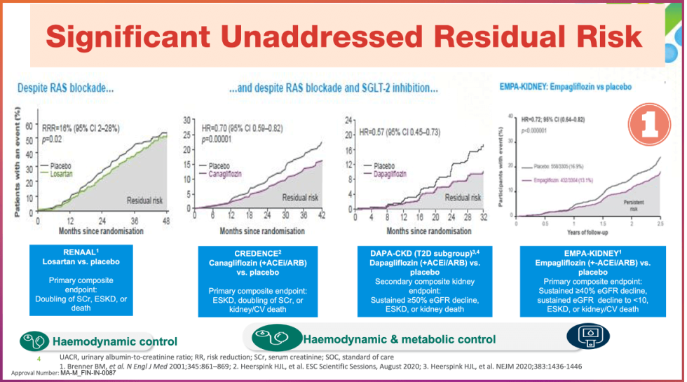 Finerenone: From Residual Risk to Precision Therapy in Cardio Renal ...