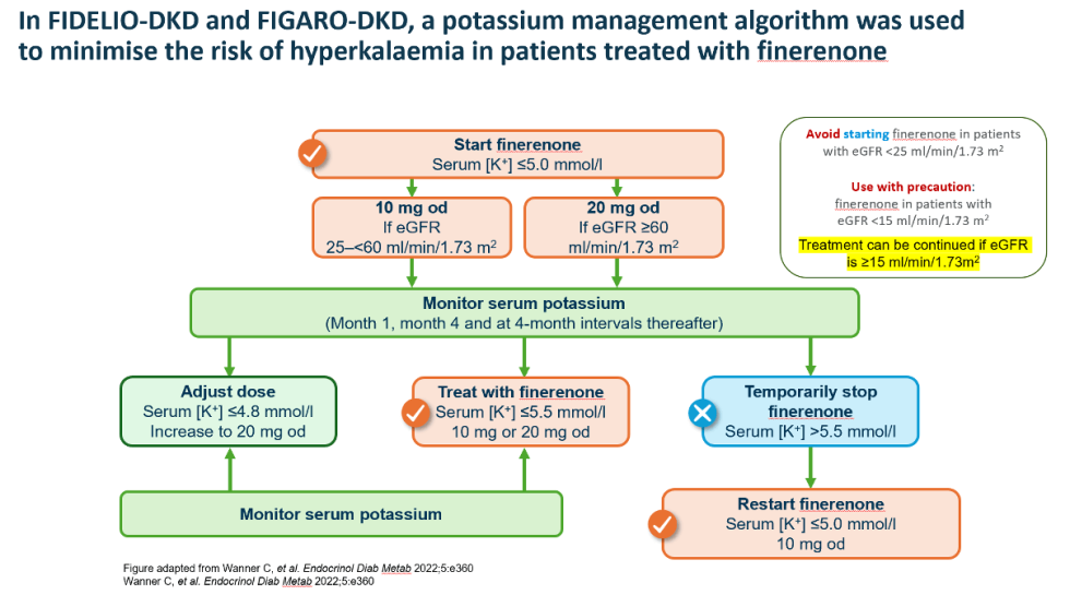 Finerenone: From Residual Risk to Precision Therapy in Cardio Renal ...